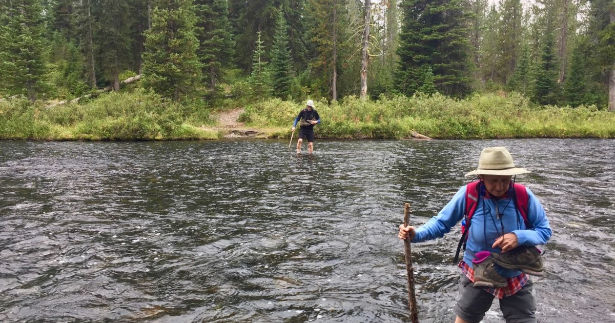 Hiking Union Falls in Yellowstone National Park